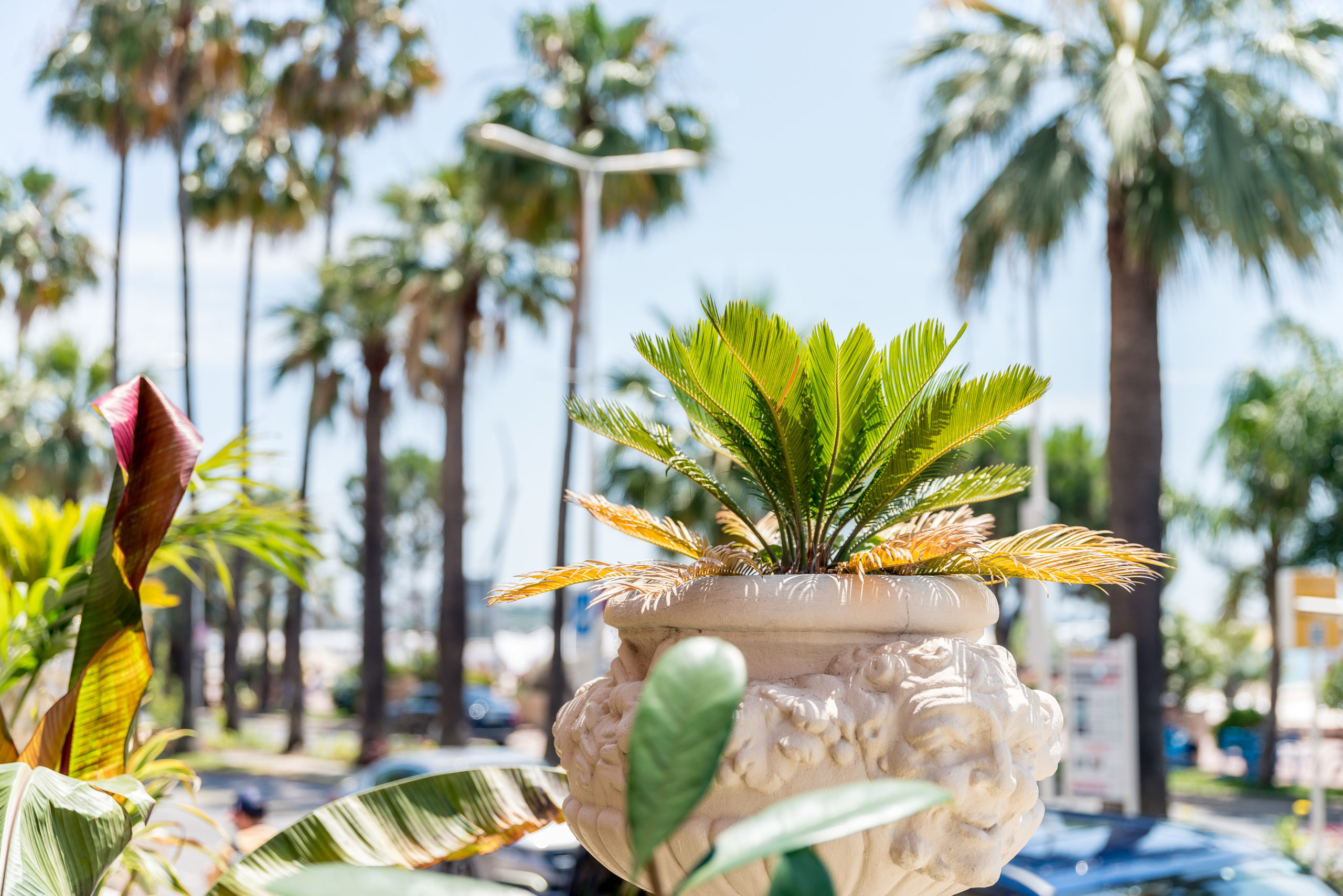WMxCannes key takeaways 2019 - Wavemaker Global WMxCannes key takeaways 2019 - Wavemaker Global