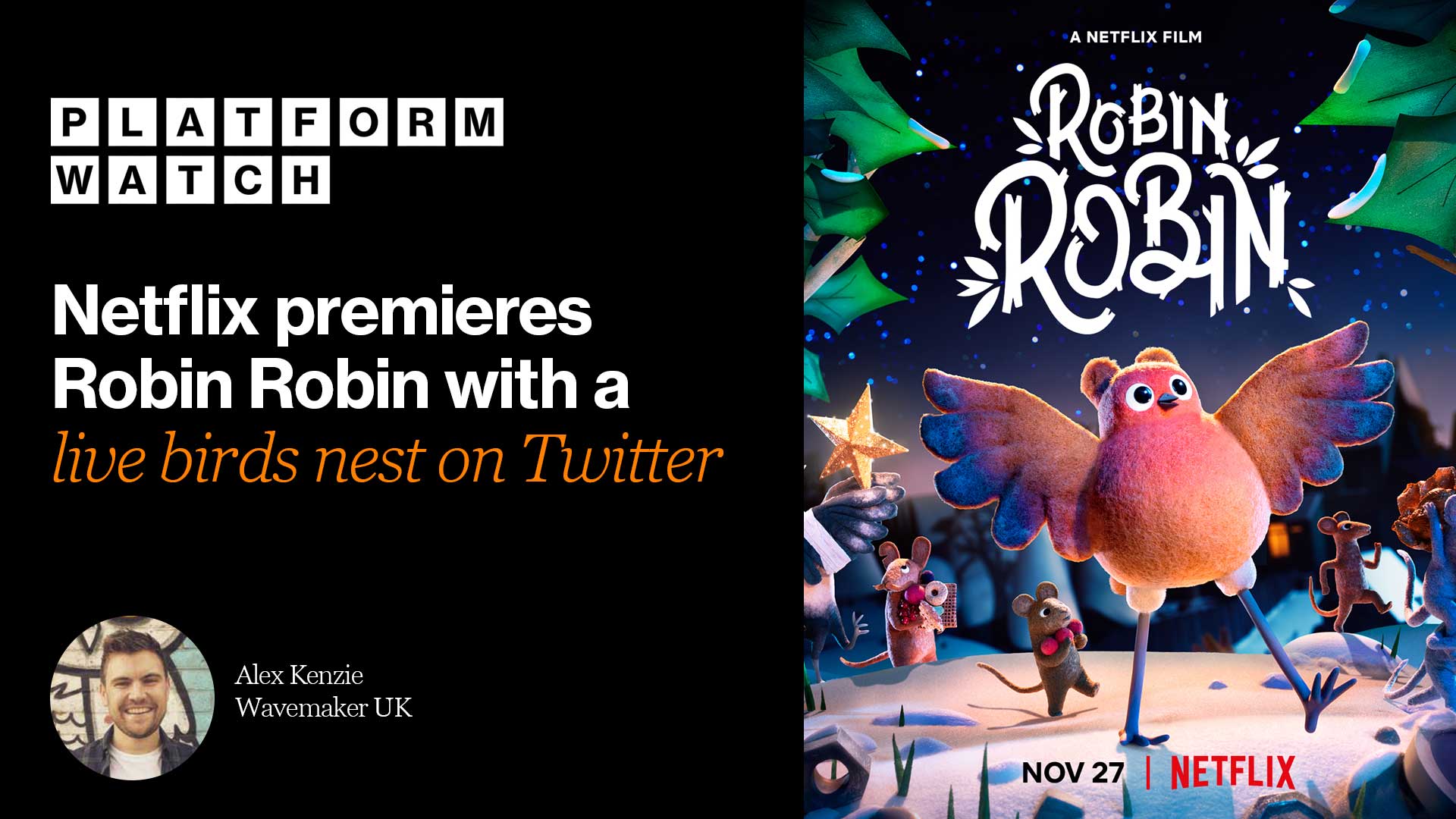 Netflix premieres Robin Robin with a live birds nest on Twitter ...